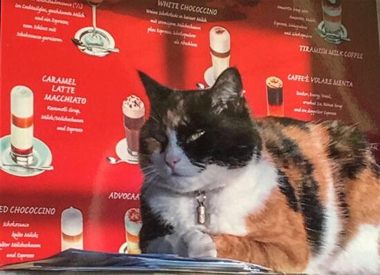 Speisekarte von Café-Bar Lädeli Jennifer Balmer-Ammann, Heimberg