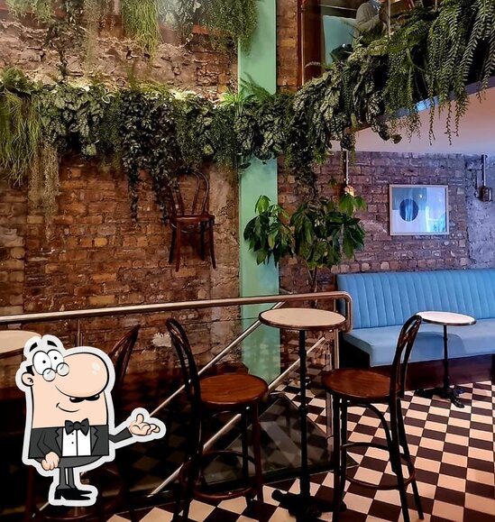 Franks - Wine and Pasta Bar, Dundee - Restaurant menu, prices and reviews