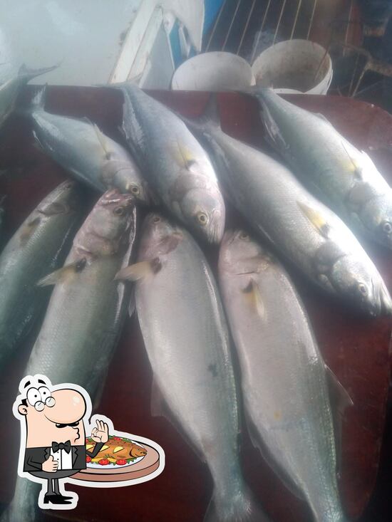 Bodrum balık turu Bodrum fishing, Bodrum - Restaurant reviews