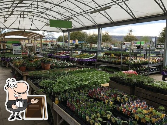 Tring Garden Centre, Tring - Restaurant menu, prices and reviews