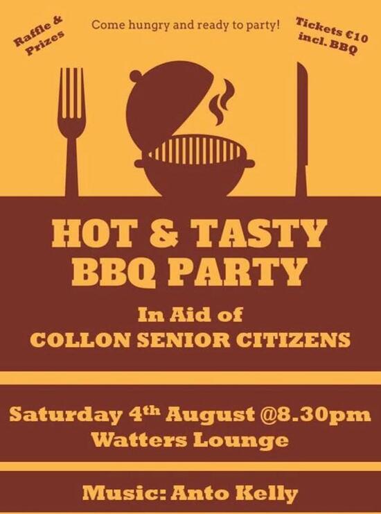 Menu at Watters pub & bar, Collon
