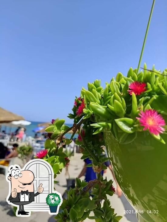Mooja Beach Maamoura Plage aménagée et restaurant, Al-Maamoura