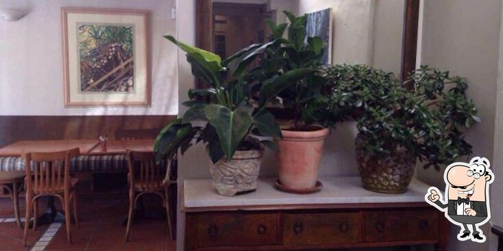 Menu at Plane Tree Cafe, Woollahra
