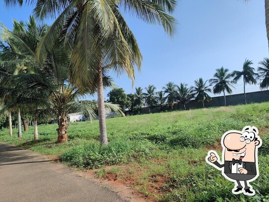 SUBBU MESS, Sathyamangalam - Restaurant menu, prices and reviews
