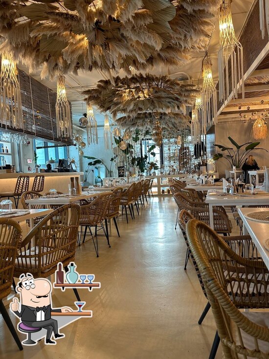 Medusa Universe, Bucharest - Restaurant menu, prices and reviews