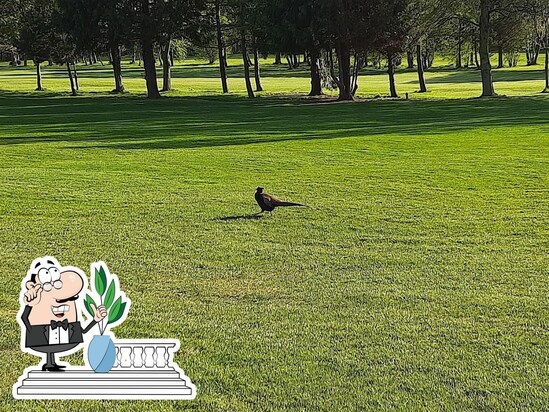 Rhuddlan Golf Club, Meliden Road in Rhyl - Restaurant reviews