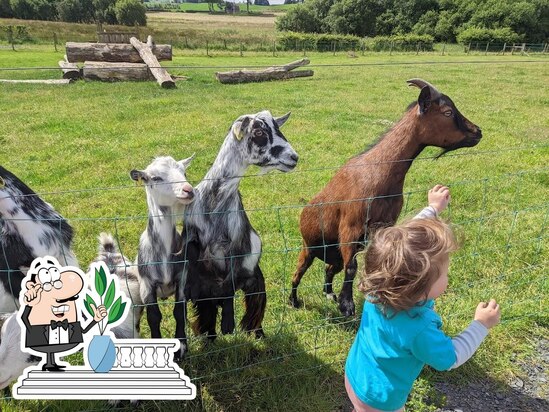 Laganvale Farm in Lisburn - Restaurant reviews