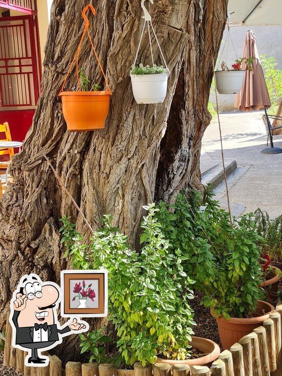 ΠΑΛΙΑ ΜΑΣ ΓΕΙΤΟΝΙΑ, Sardes - Restaurant menu, prices and reviews