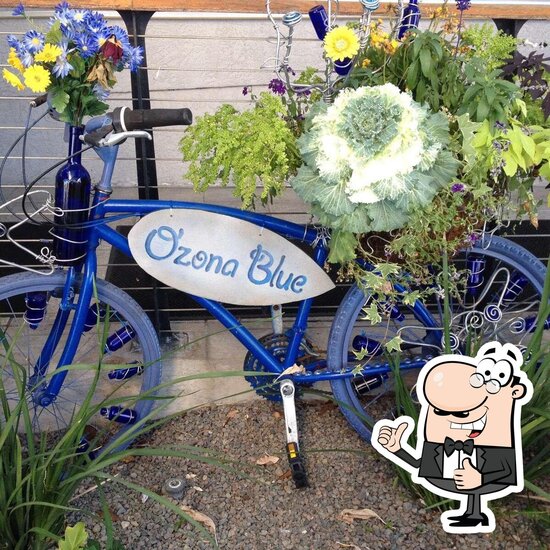 Menu at Ozona Blue Grilling Co restaurant, Palm Harbor