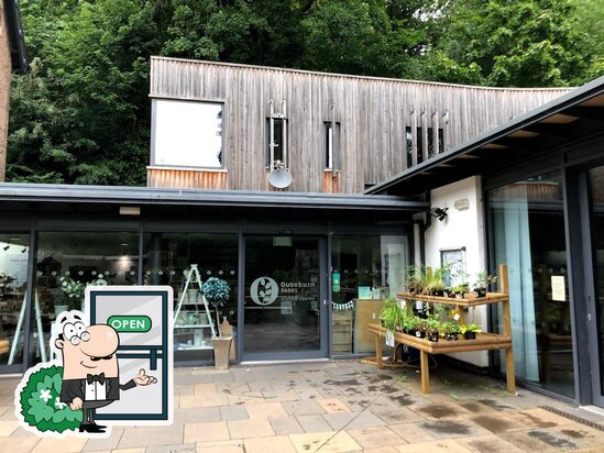 Millfield House in Newcastle upon Tyne - Restaurant reviews