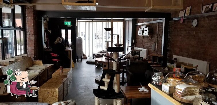 Tabby Teas in Sheffield - Restaurant menu and reviews