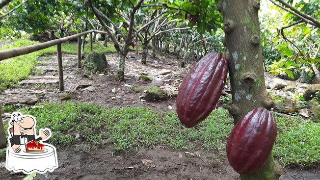 Choco Zone Farm & Resto restaurant, Tayabas - Restaurant reviews