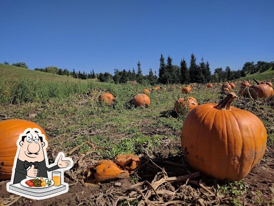 Albion Orchards Apple Farm & Country Market in Caledon - Restaurant reviews