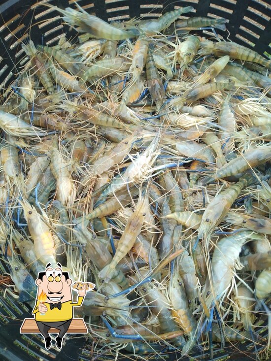 วังกุ้งกาฬสินธุ์, Phibun - Menú del restaurante, precios y reseñas