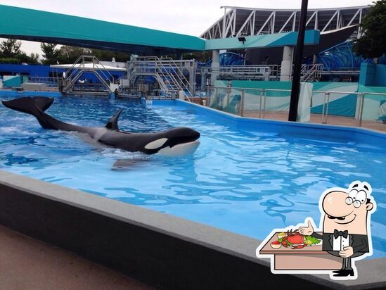 Menu at Dine With Shamu restaurant, Orlando, Sea Harbor Dr