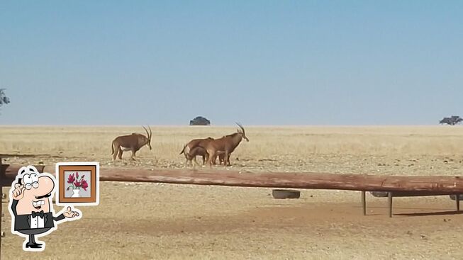Mamusa Guest Lodge & Restaurant, Schweizer-Reneke - Restaurant reviews