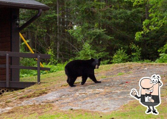 Temagami Shores Inn, Temagami - Restaurant menu, prices and reviews