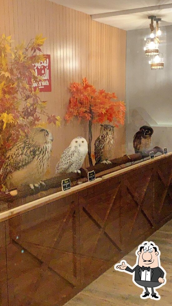 Boomah, The Owl Café, Abu Dhabi - Restaurant menu, prices and reviews
