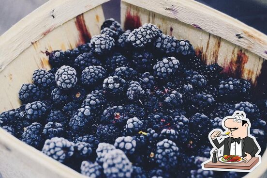 Red House Farm Public House in Whitley Bay - Restaurant reviews