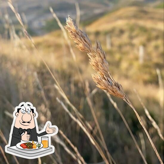 The Daily in Te Puke - Restaurant reviews