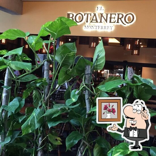 El Botanero, Monterrey - Menú del restaurante, precios y reseñas