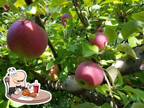 Applecrest Farm Orchards in Hampton Falls - Restaurant menu and reviews