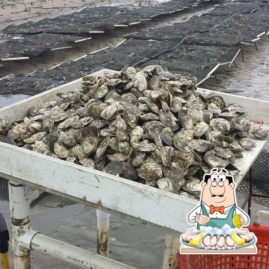 South Bay Shellfish Company - Menú del restaurante, precios y reseñas