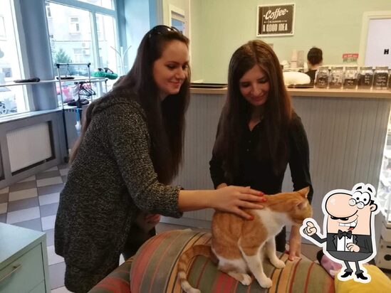 Mrau Cafe, Lublin, Orla 6 - Restaurant reviews