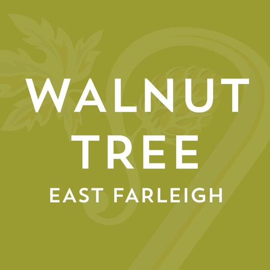 Menu at Walnut Tree pub & bar, Maidstone, Forge Ln