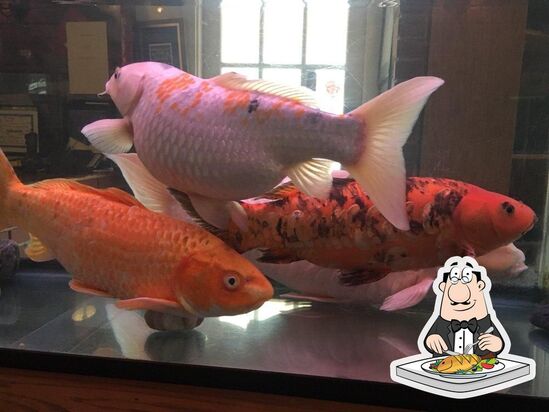 Char Koon, 882 Main St in Glastonbury - Restaurant menu and reviews