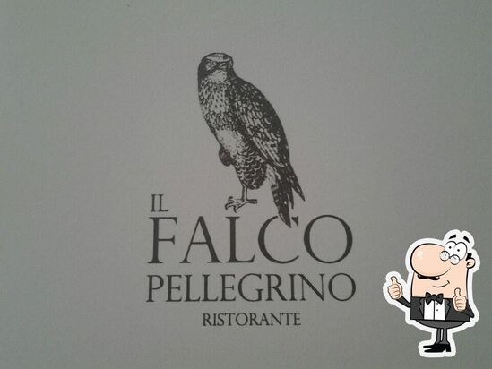 Menu da Ristorante Il Falco Pellegrino, Noci, Contrada Montedoro