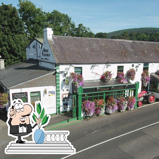 Merry Ploughboys Irish Night - Restaurant menu, prices and reviews