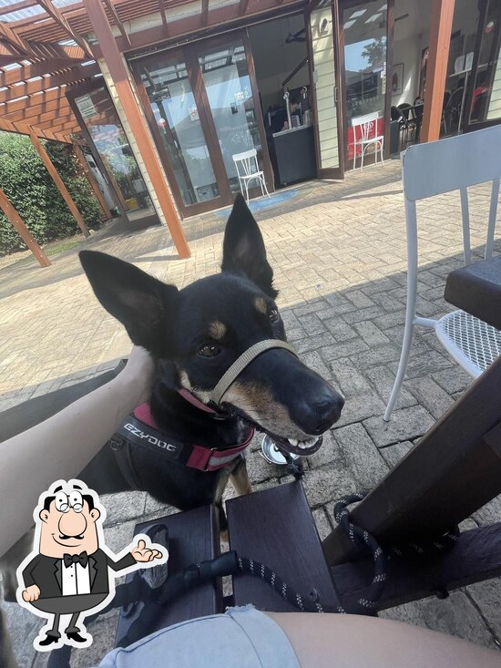 The Local Shed Cafe, Rouse Hill - Restaurant menu, prices and reviews