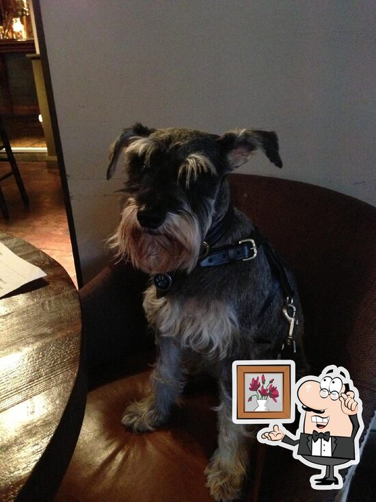 Lazy Cow, Salisbury - Restaurant menu, prices and reviews