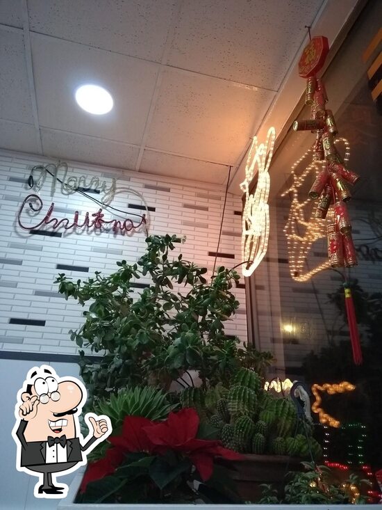 Canton Chinese Delight, Cardiff - Restaurant menu, prices and reviews