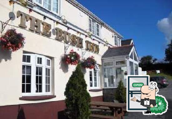Menu at The Bush Inn pub & bar, Robeston Wathen, B4314