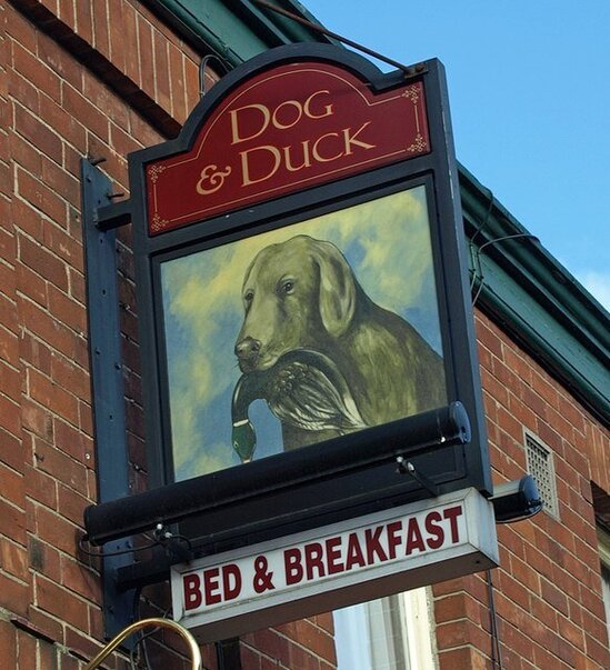 Menu at Dog & Duck Inn pub & bar, Beverley, 33 Ladygate