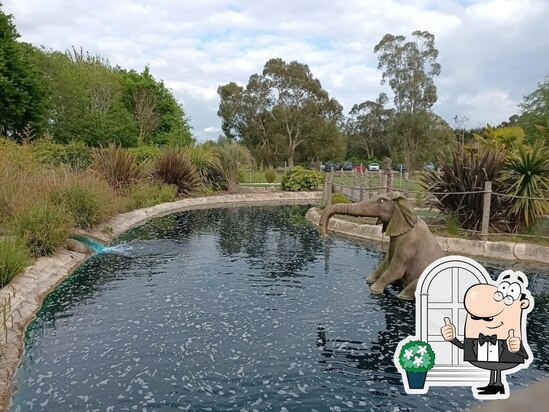 Carta del café Jungle Paradise Adventure Golf, Chichester
