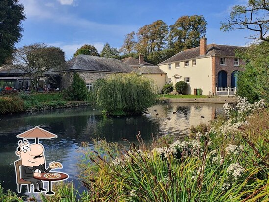 The Park Cafe Saltram House, Plymouth - Restaurant menu, prices and reviews