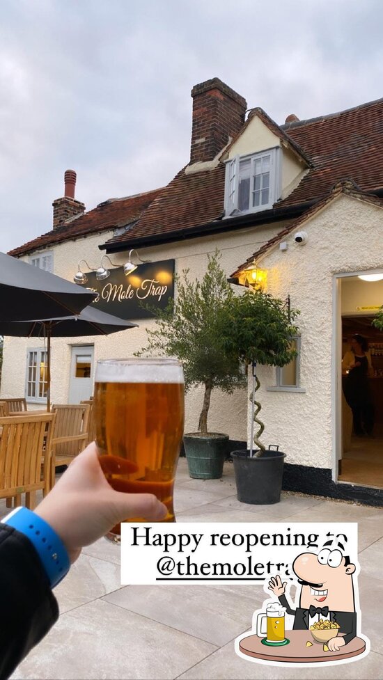 Menu at The Mole Trap pub & bar, Coopersale, Tawney Common