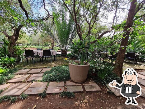 Bloom Tea Garden, Hoedspruit - Restaurant menu, prices and reviews