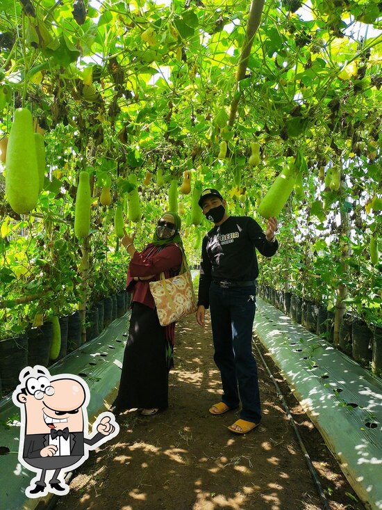 Wisata Kebun Sayur Kediri, Manyaran - Restaurant reviews