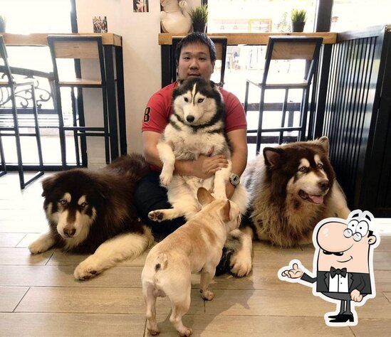 Box Box Dog Cafe คาเฟ่น้องหมา เชียงใหม่, Chiang Mai, 239 - Restaurant ...