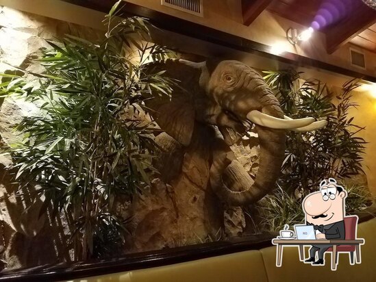 Elephant Bar Restaurant, Torrance - Restaurant menu, prices and reviews