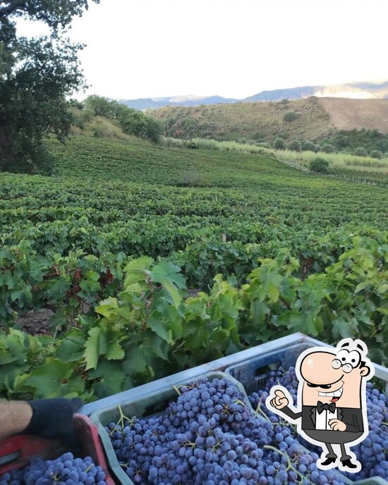 Speisekarte von Brigante Vigneti & Cantina, Cirò