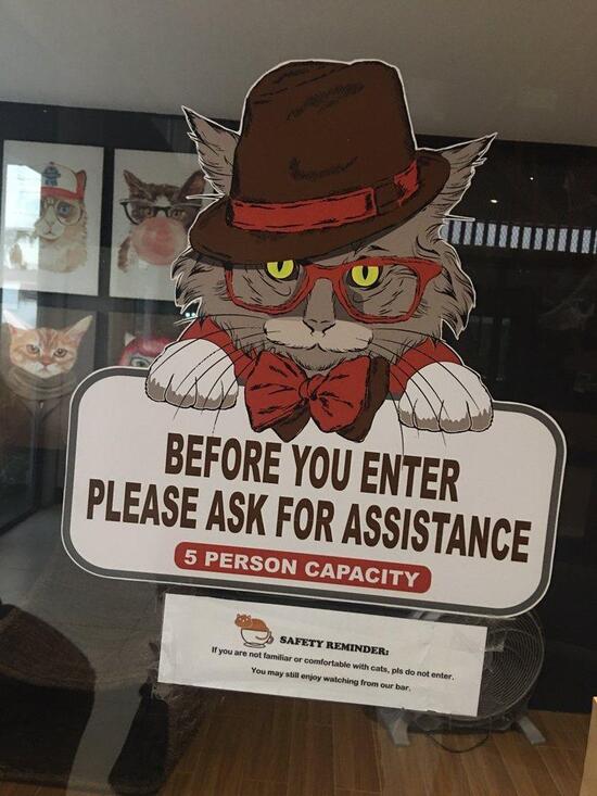 Menu at Coffee Cat cafe, Angeles