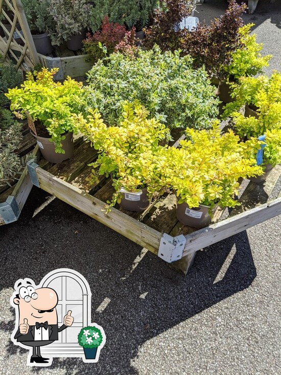 Dobbies Garden Centre Woodbridge, Woodbridge - Restaurant menu, prices ...