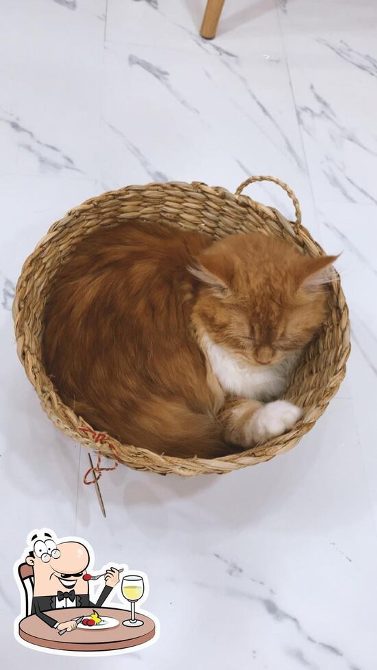 Cat Tales Cat Cafe - คาเฟ่แมวในห้างซีคอนแสควร์ ศรีนครินทร์, Bangkok ...