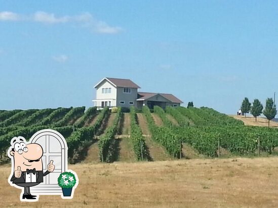 Karma Vista Vineyards in Coloma - Restaurant menu and reviews