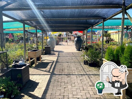 Menu at Wonderland Nursery, Coffee shop & Playpark cafe, Hermanus